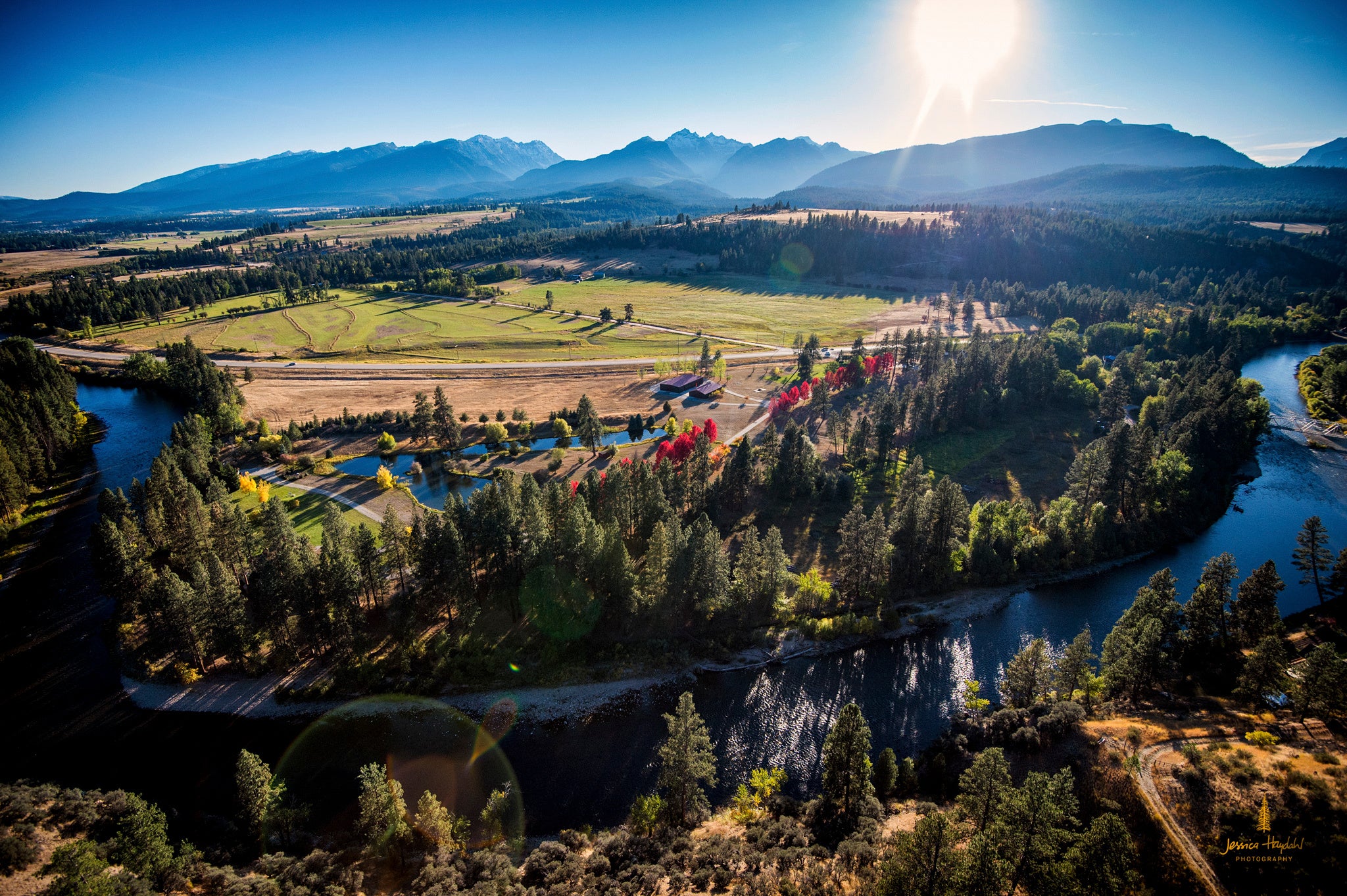 Freestone Fly Shop Home