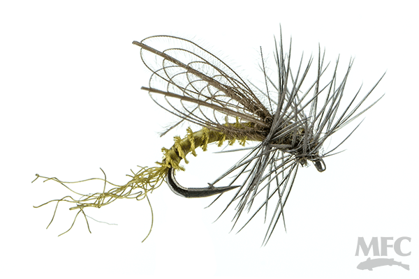 MFC CDC Winged Emerger - BWO – Freestone Fly Shop