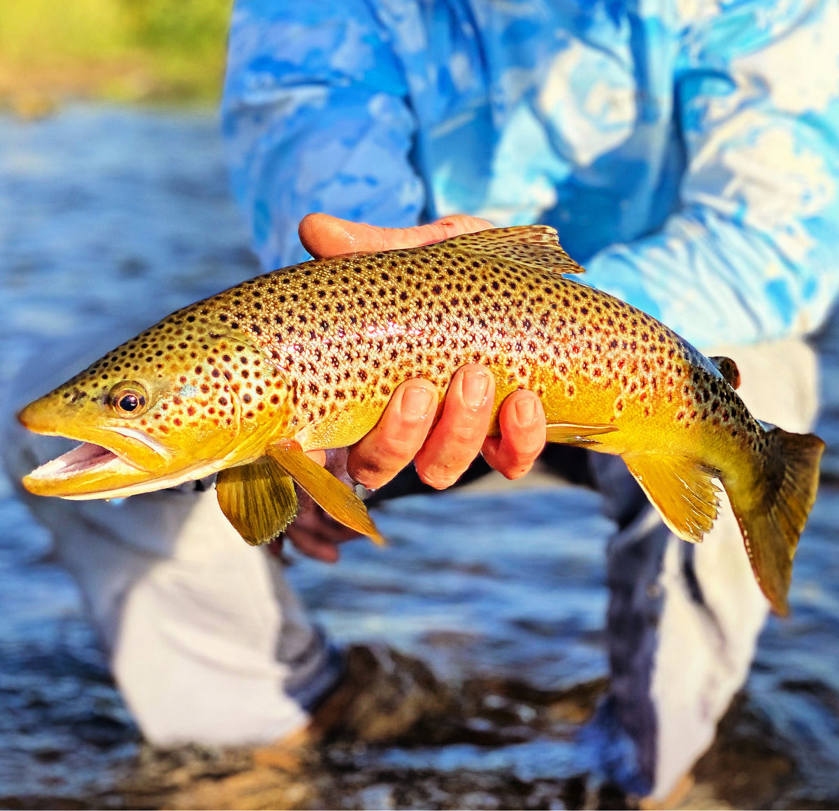 Freestone Fly Shop Home