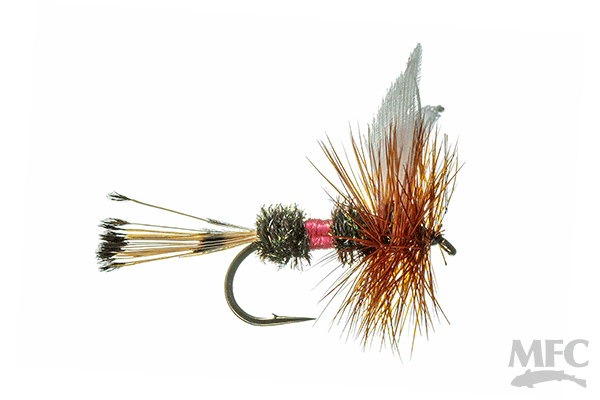 MFC Royal Coachman – Freestone Fly Shop