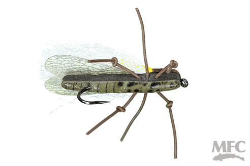 Bitterroot River Fishing Report – Current Conditions & Tips | Freestone ...